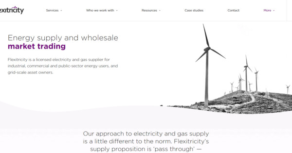 Flexitricity Business Energy Review 2026