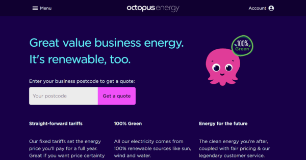 Octopus Energy Business Energy Review 2025