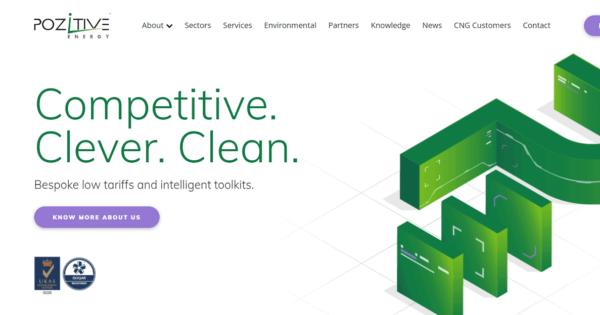 Pozitive Energy Business Energy Review 2025