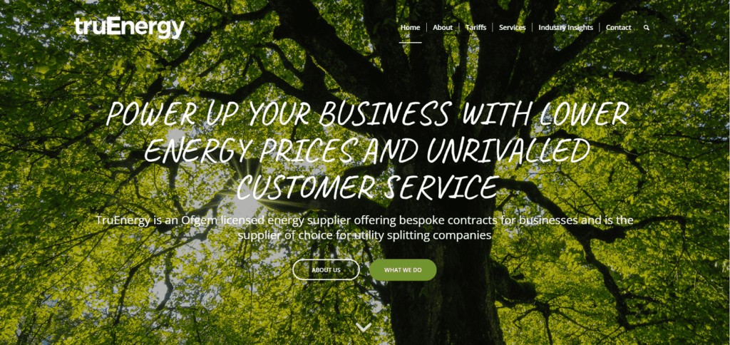 TruEnergy Business Energy Review 2025